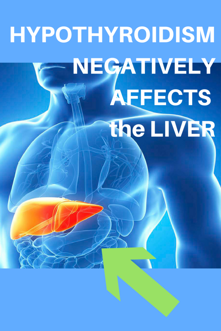 Another reason to question taking T4 meds without T3-your liver - Stop ...