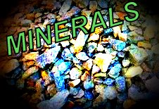 Electrolytes and Minerals - why they are so important - Stop The ...