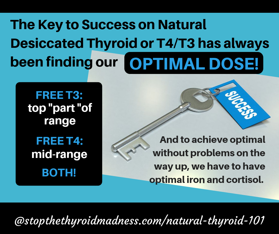 The almighty Feedback Loop - Stop The Thyroid Madness
