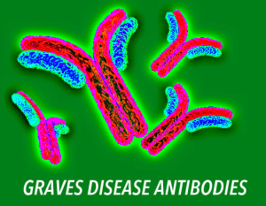 Graves' Disease-the HYPERthyroid side of the coin - Stop The Thyroid ...