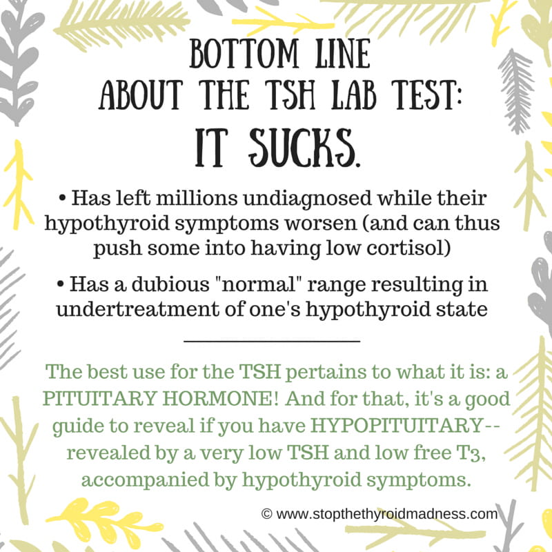 The TSH lab test - Why It's Useless - Stop The Thyroid Madness