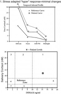 Seven Stages of Adrenal Issues - Stop The Thyroid Madness