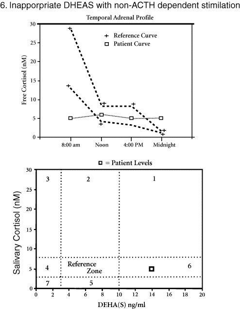 Seven Stages of Adrenal Issues - Stop The Thyroid Madness